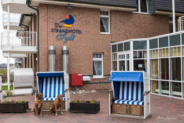 Das Strandhotel Sylt in Westerland - Hunde herzlich willkommen