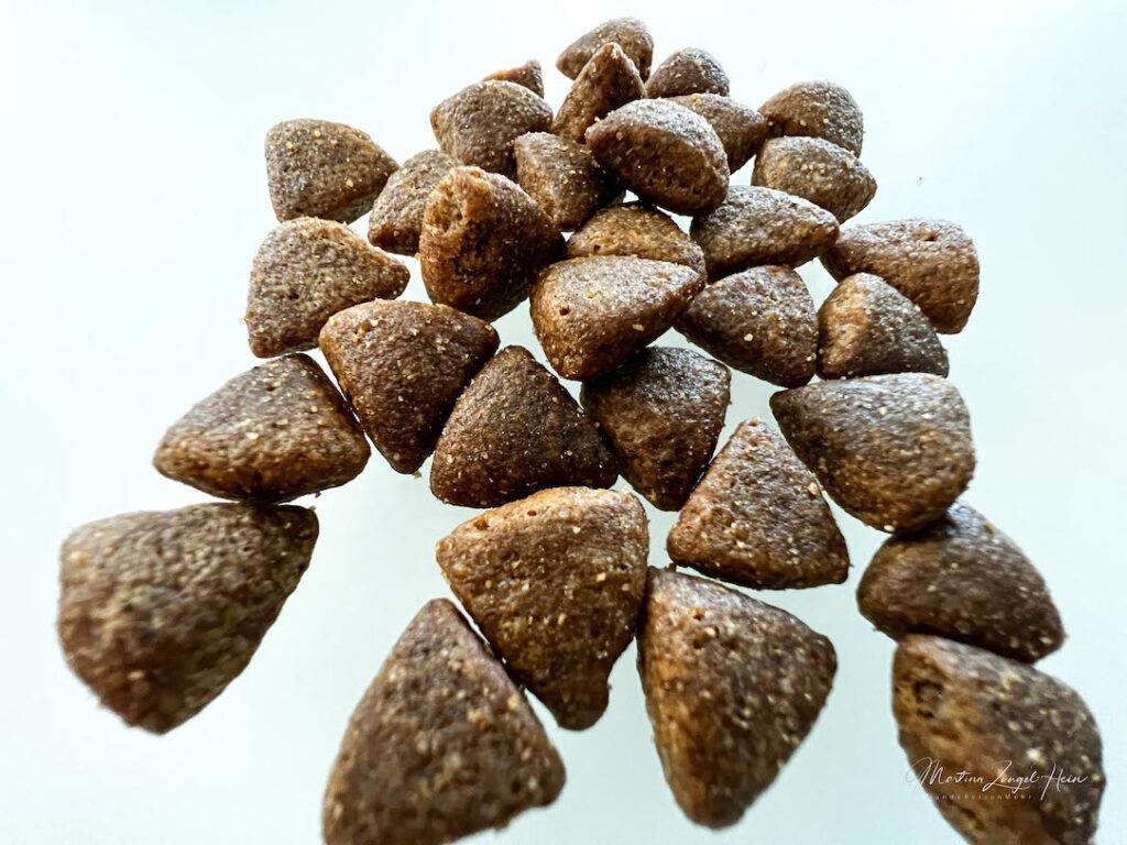 Balloony - Charly testet 40 kg Hundefutter | HundeReisenMehr